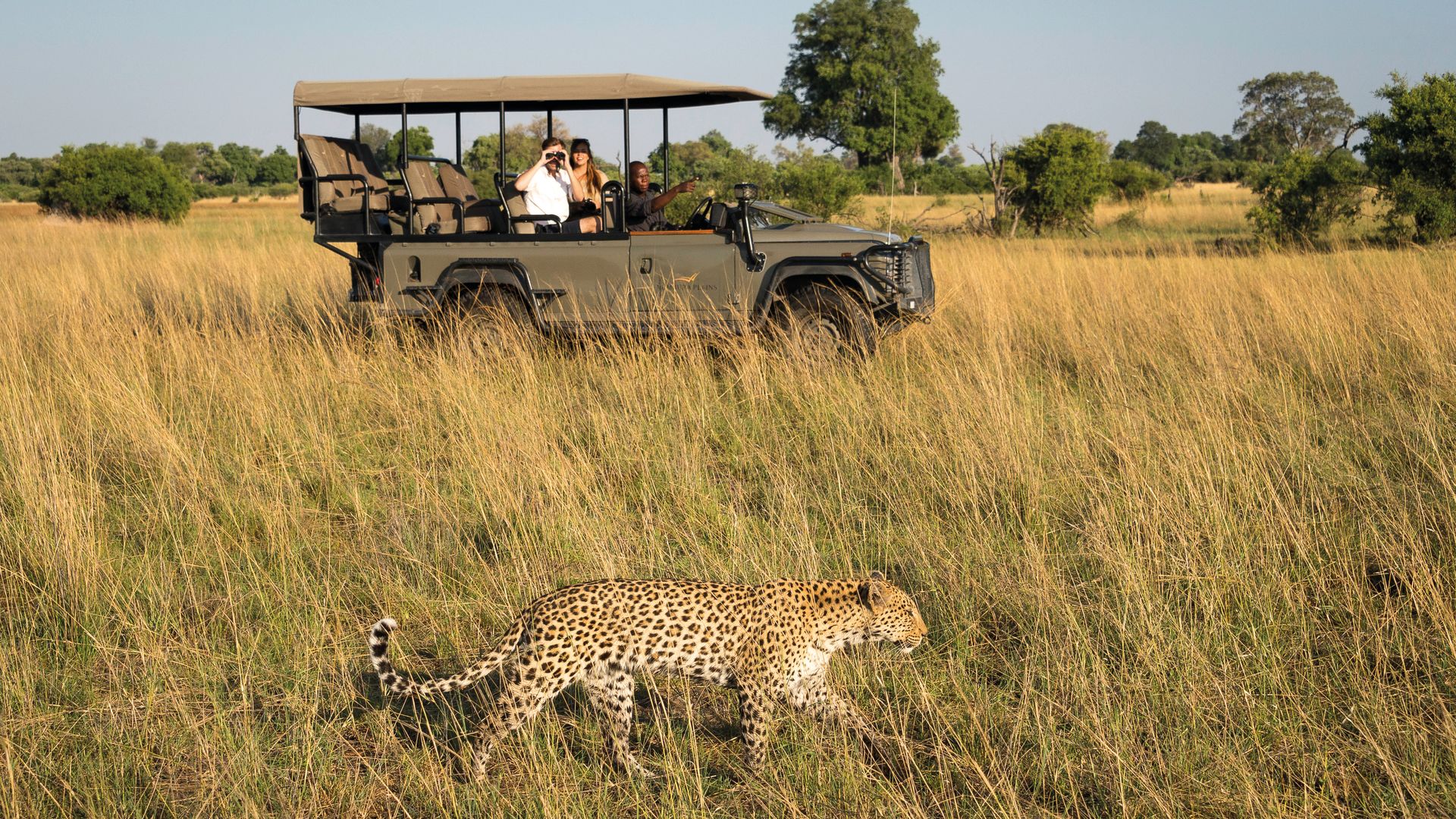 Jambo Safari Club | Dé Afrika safari specialist | 47 jaar ervaring