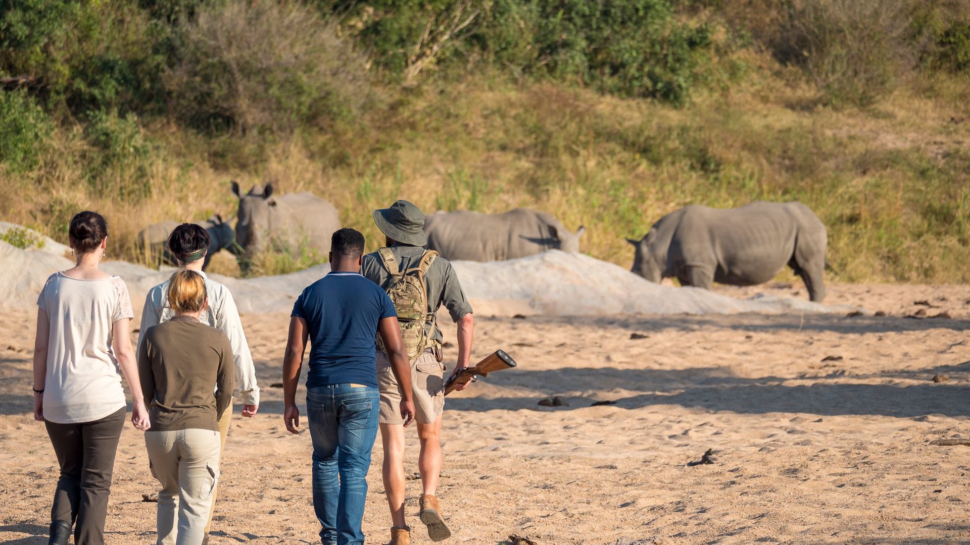 Gamedrives in Afrika | Jambo Safari Club | Sinds 1979 dé Afrika Specialist